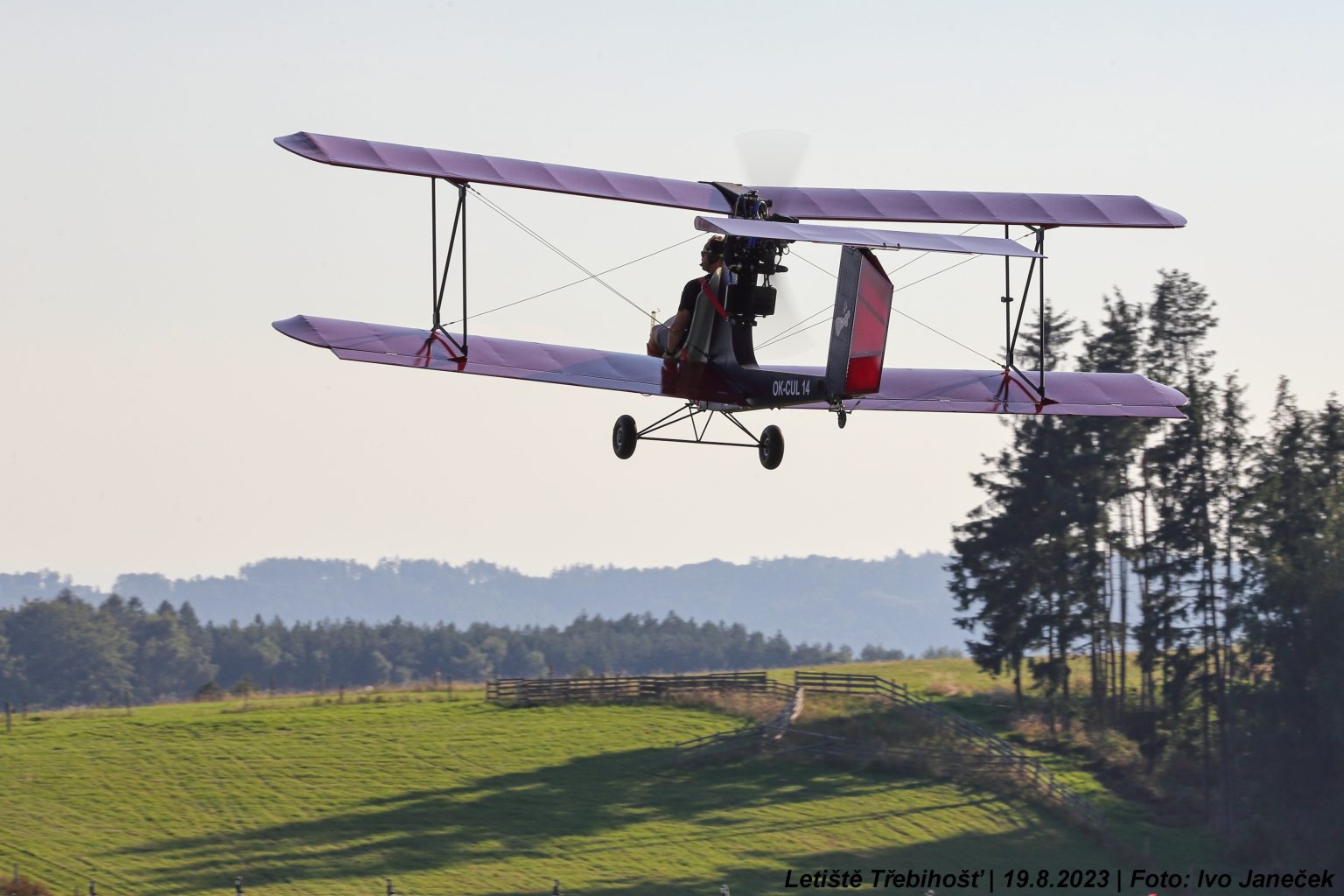 THE FLYING DINGO - SportPilot