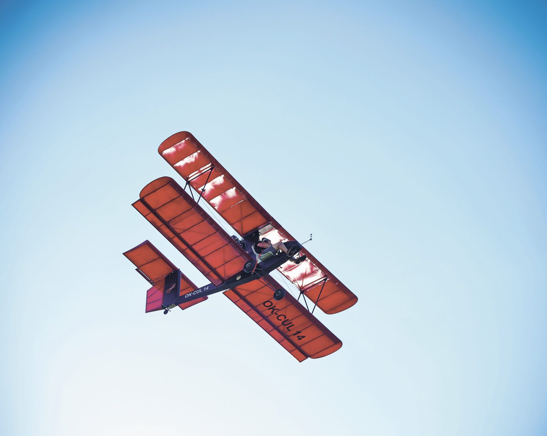 THE FLYING DINGO - SportPilot